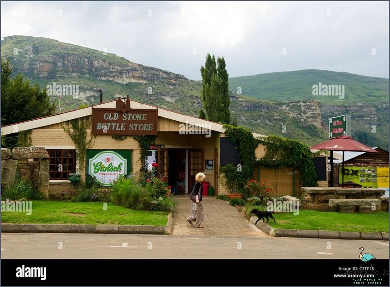 Discover How To Open A Bottle Store In South Africa! May 2026 - Aswica ...