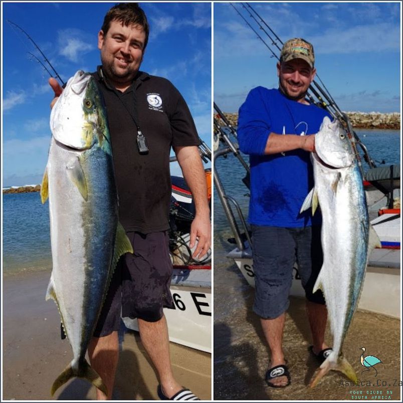 Discover the Beauty of Port Elizabeth Harbour! May 2026 - Aswica.Co.Za