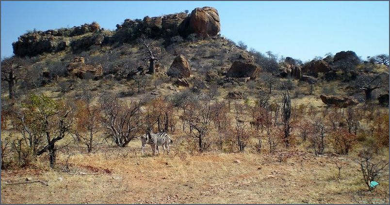 Discover the Best Time To Visit Khomani Cultural Landscape! May 2026 ...
