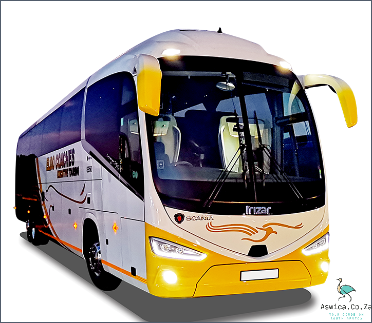 Eldo Coaches: How to Become an Expert in Your Field December 2025 ...