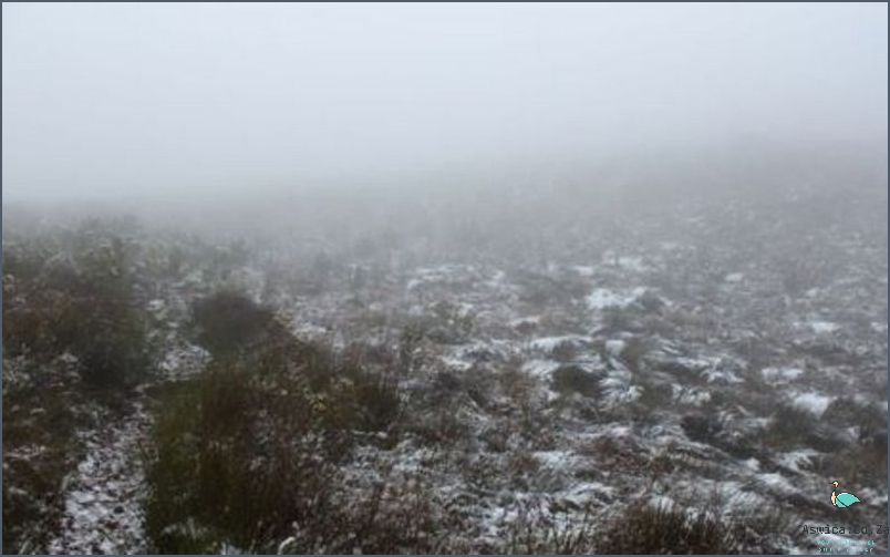 Johannesburg Experiences Intense Cold Front! December 2025 - Aswica.Co.Za