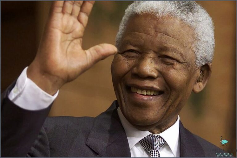 South African Leader Who Contributed to Building Democracy: Uncovering ...