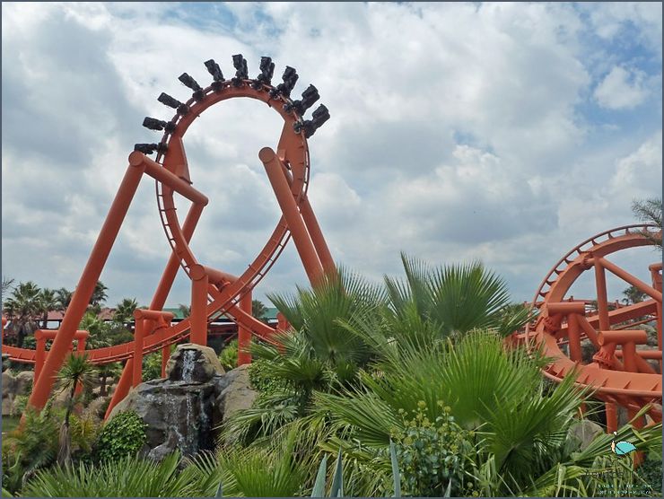 Unbelievable Findings at Anaconda Gold Reef City! May 2026 - Aswica.Co.Za