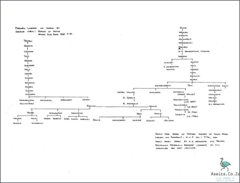 Unravel the Nelson Mandela Family Tree October 2025 - Aswica.Co.Za