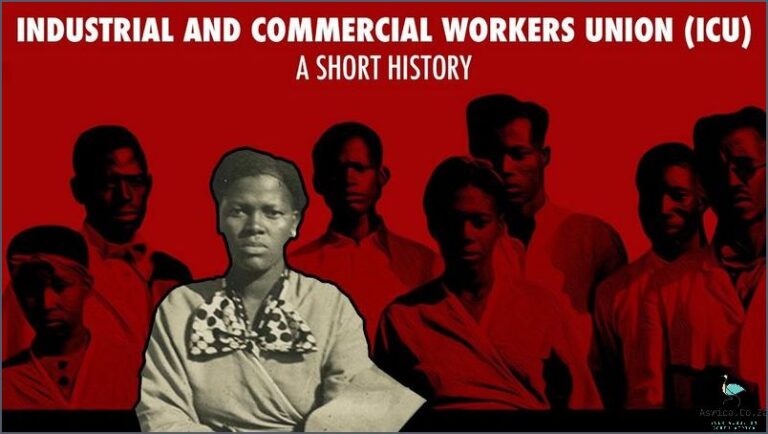 What Is The Largest Trade Union In South Africa? Find Out Now! May 2026 ...