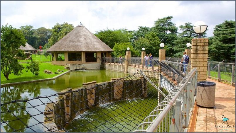 You Won't Believe How Low Joburg Zoo Prices Are! May 2026 - Aswica.Co.Za