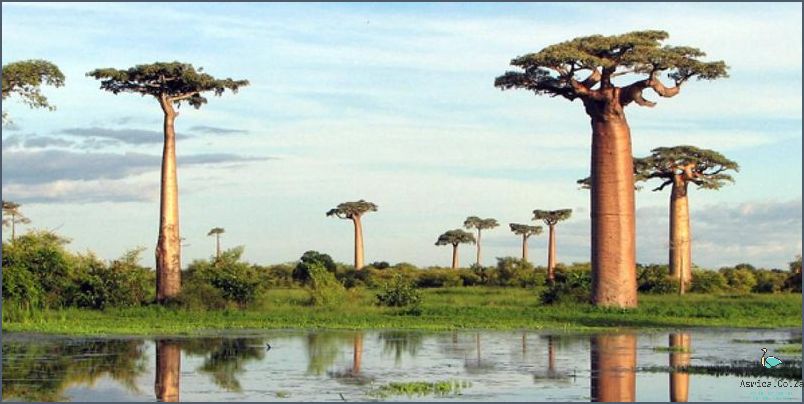 Explore the Top 10 Tourist Attractions In Limpopo! December 2025 ...